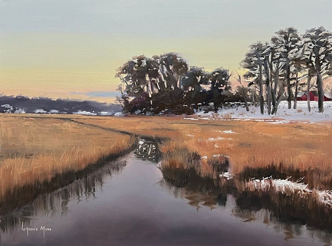 Paintings – Leanne Moss Art