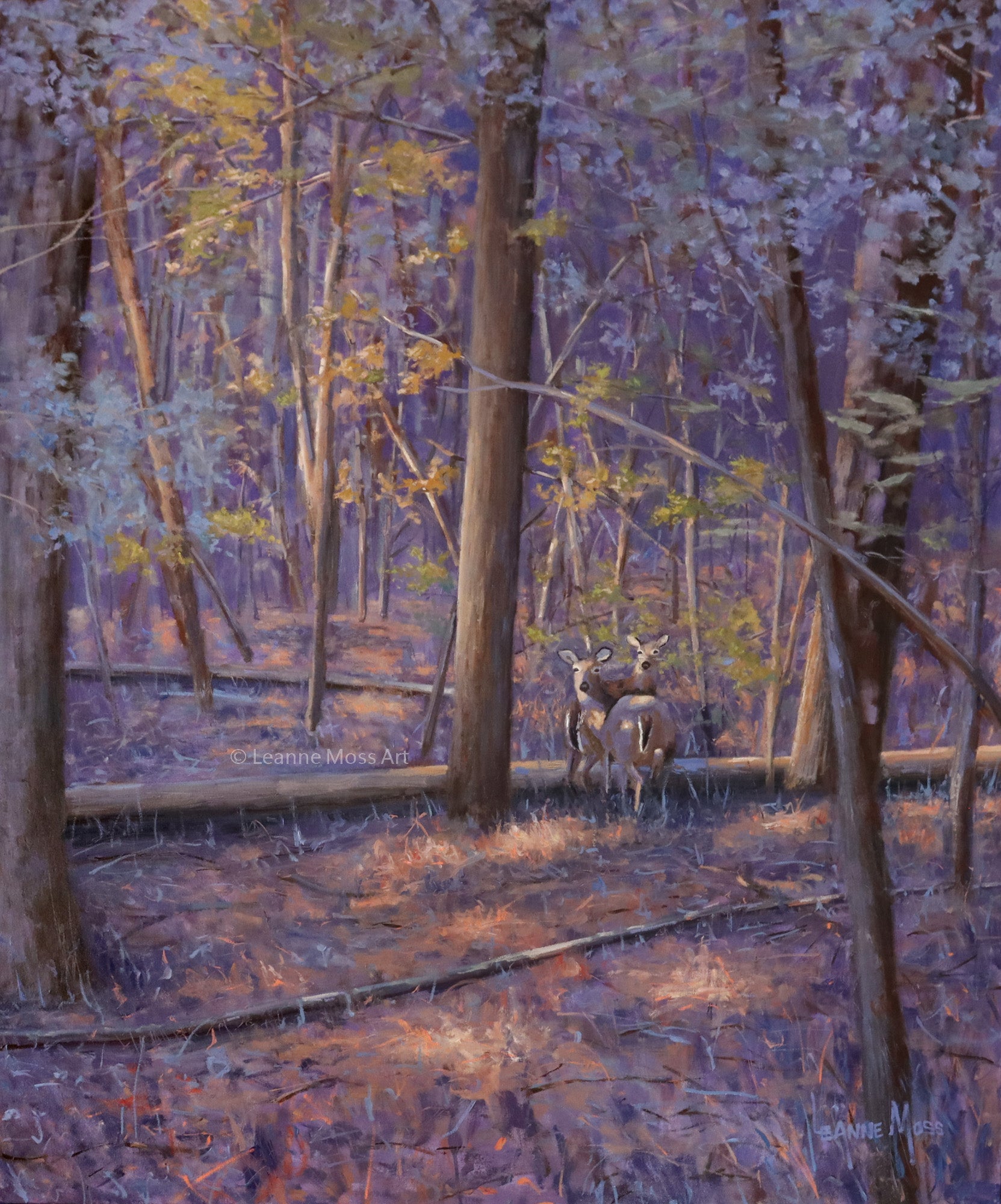 "Safe Haven" signed print – Leanne Moss Art